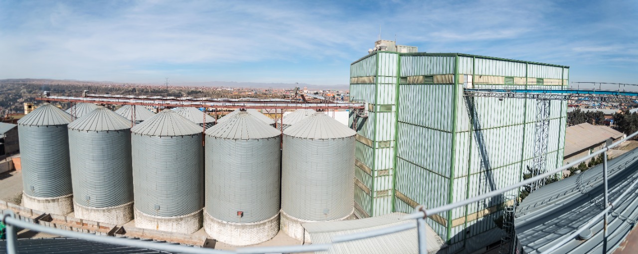 Bolivia produce uno de los mejores fideos del mundo
