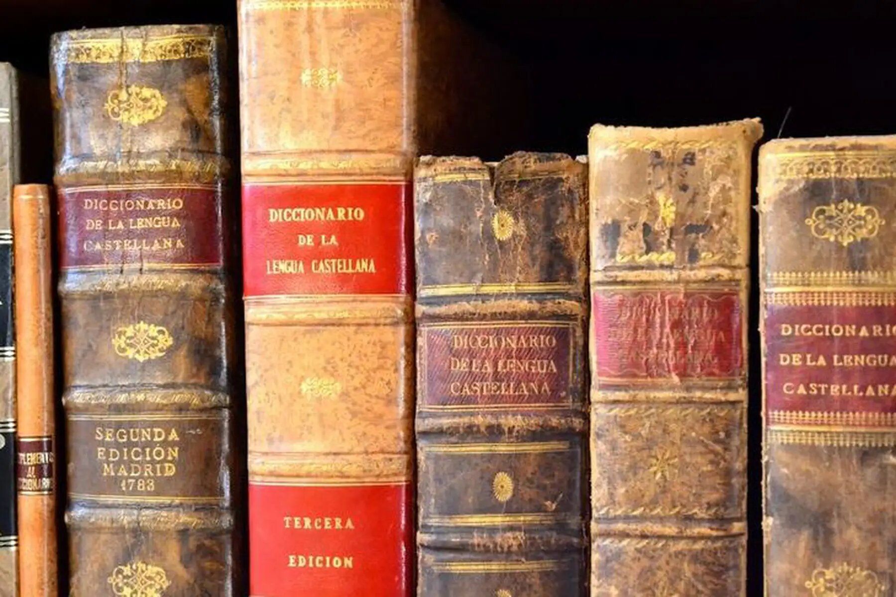 ¿QUÉ PALABRAS COMUNES EN ESPAÑOL PROVIENEN DEL ÁRABE? | Magazine Management