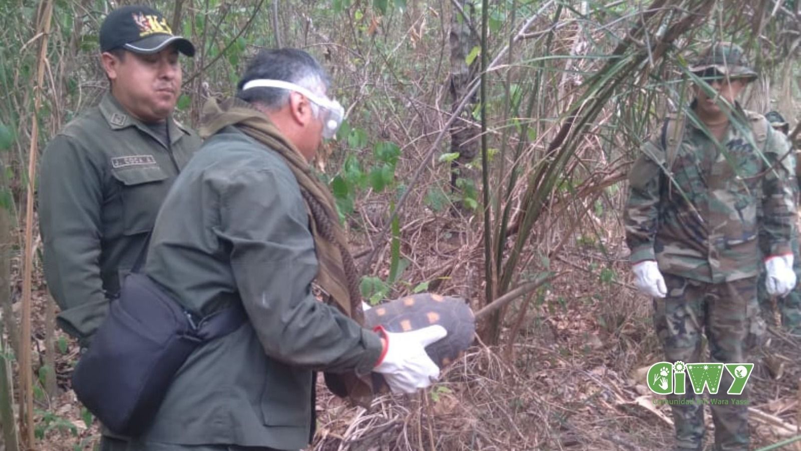 El santuario Ambue Ari enfrenta incendios descontrolados que amenazan a ...